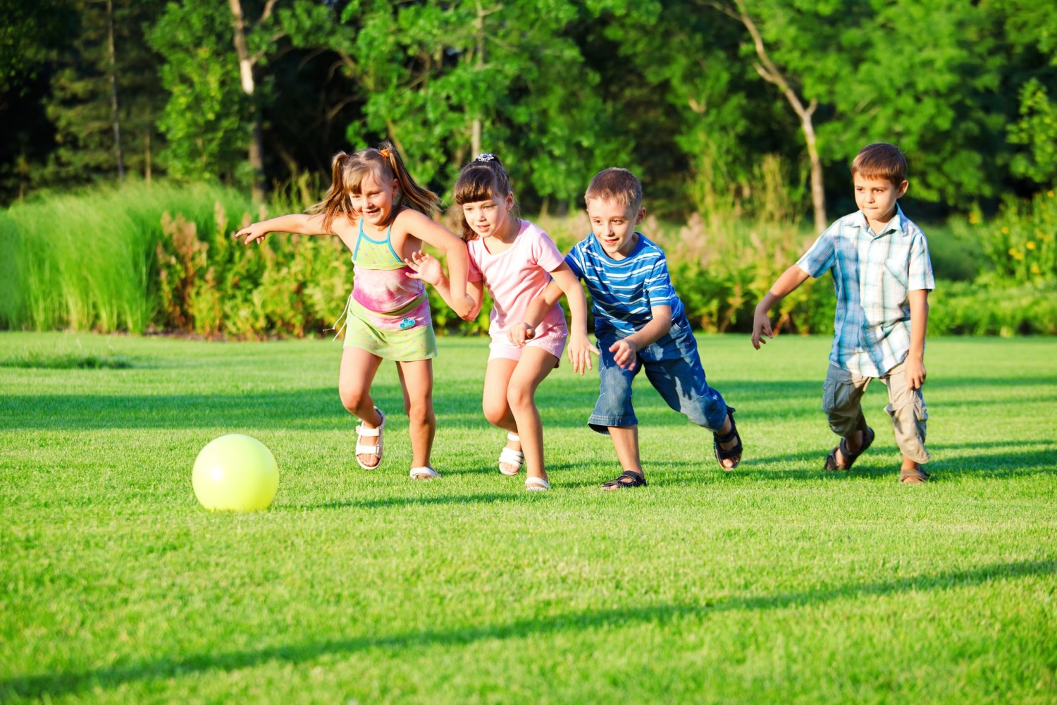Keeping Children Captivated During Training | AFA Blog