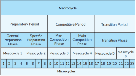 What is Periodisation in Sport? | AFA Blog