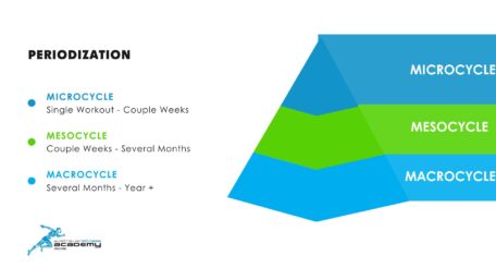 A Guide: Training in Mesocycles – Roidless